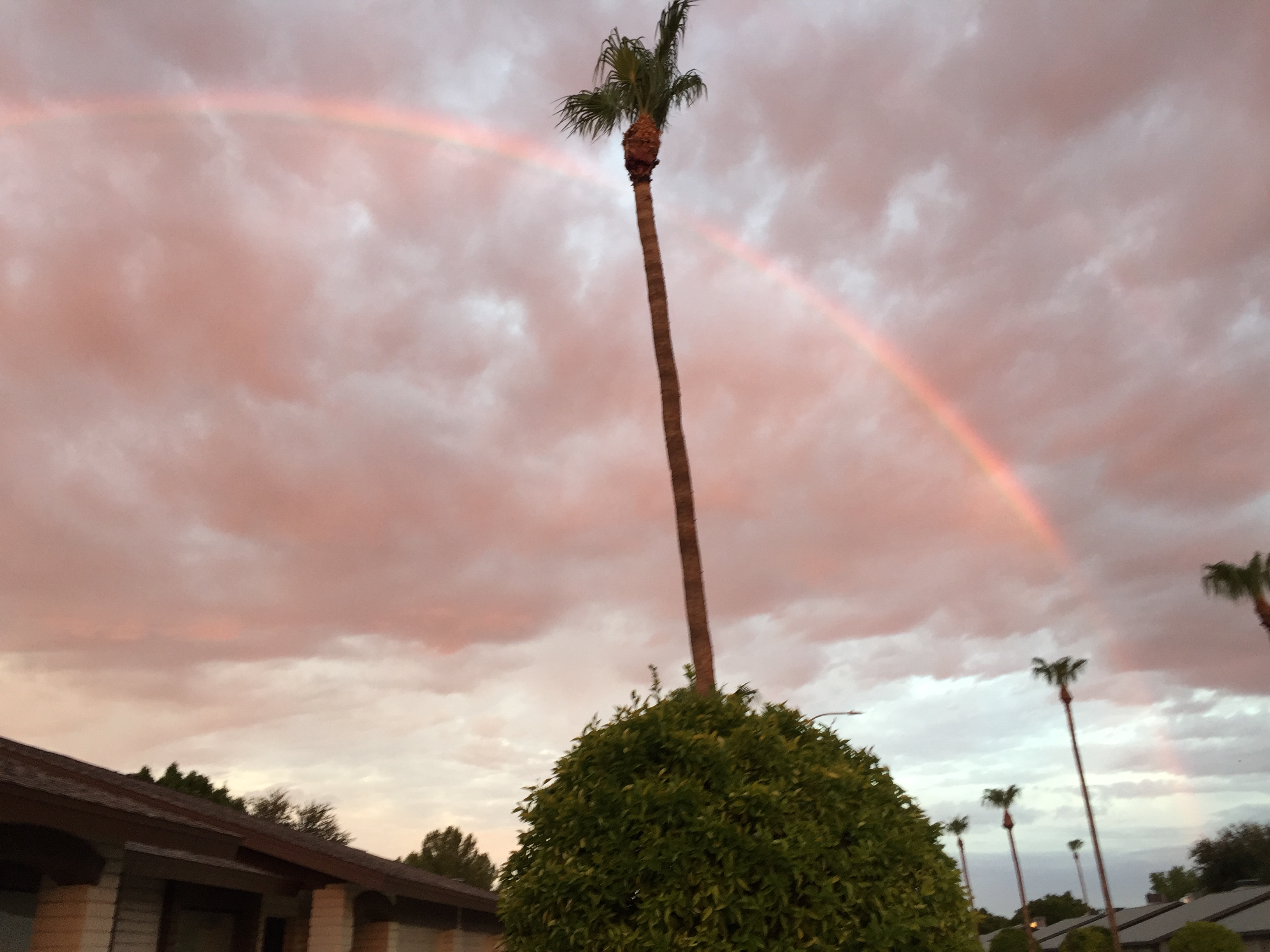 a morning adventure – CJ's World